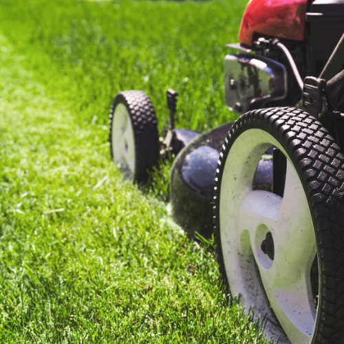 Rentals - Newport, TN - Wilton Springs Hardware