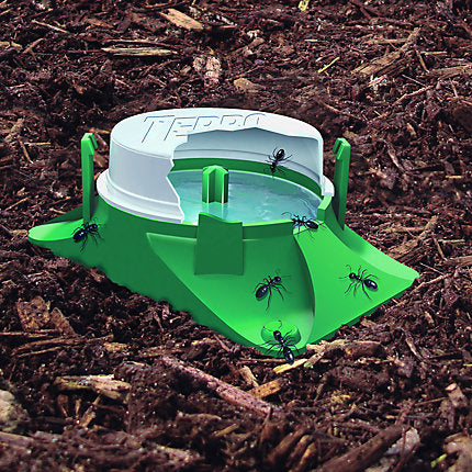 TERRO® Outdoor Liquid Ant Baits - Newport, TN - Wilton Springs Hardware